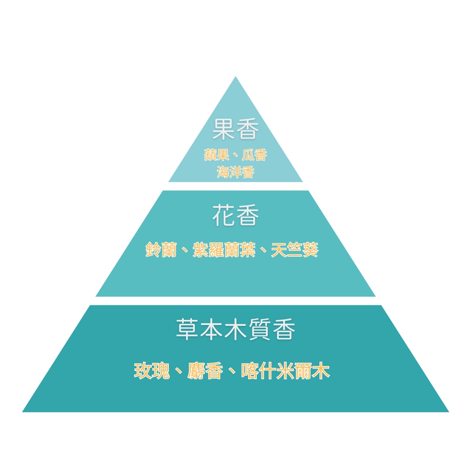 東森毛寶3D酵素抑菌香氛洗衣球原箱組|新品上架|ETMall東森購物網