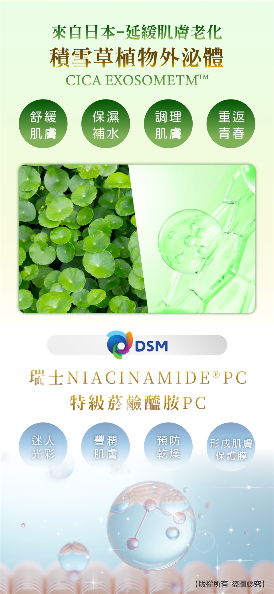 Dr.future長泰健康ADIPOFILL′IN™自澎素安瓶(20ml/瓶)X1|其他品牌|ETMall東森購物網