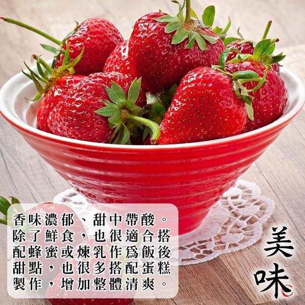 果物樂園-台灣香水草莓XXL號x2盒(12-15入_約400g/盒)|草莓/蔓越莓/藍莓|ETMall東森購物網