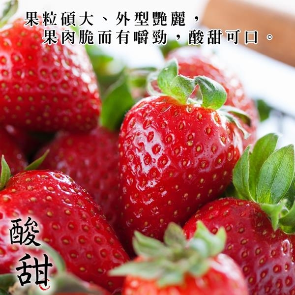 果物樂園-台灣香水草莓M號x4盒(28-35入_約400g/盒)|草莓/蔓越莓/藍莓|ETMall東森購物網