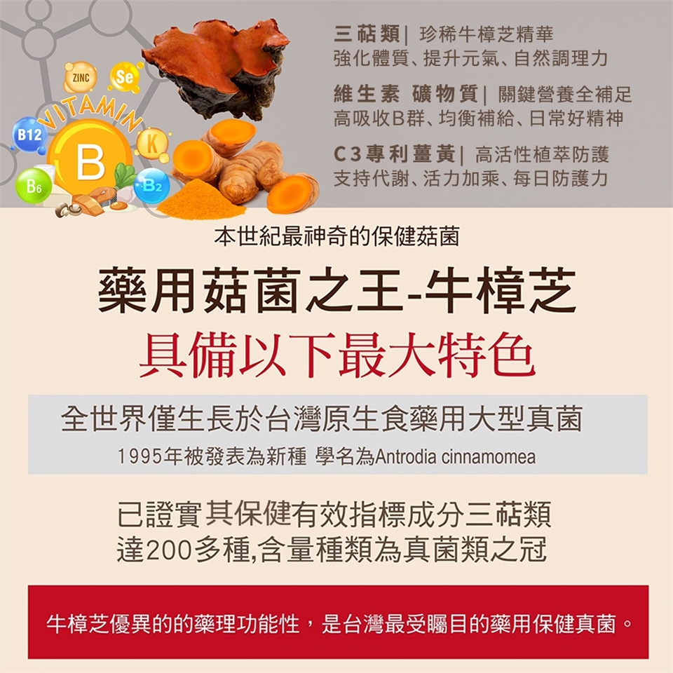 浪利生技-專利強效B群牛樟芝子實體膠囊10入(B群+牛樟芝)|維他命B群|ETMall東森購物網