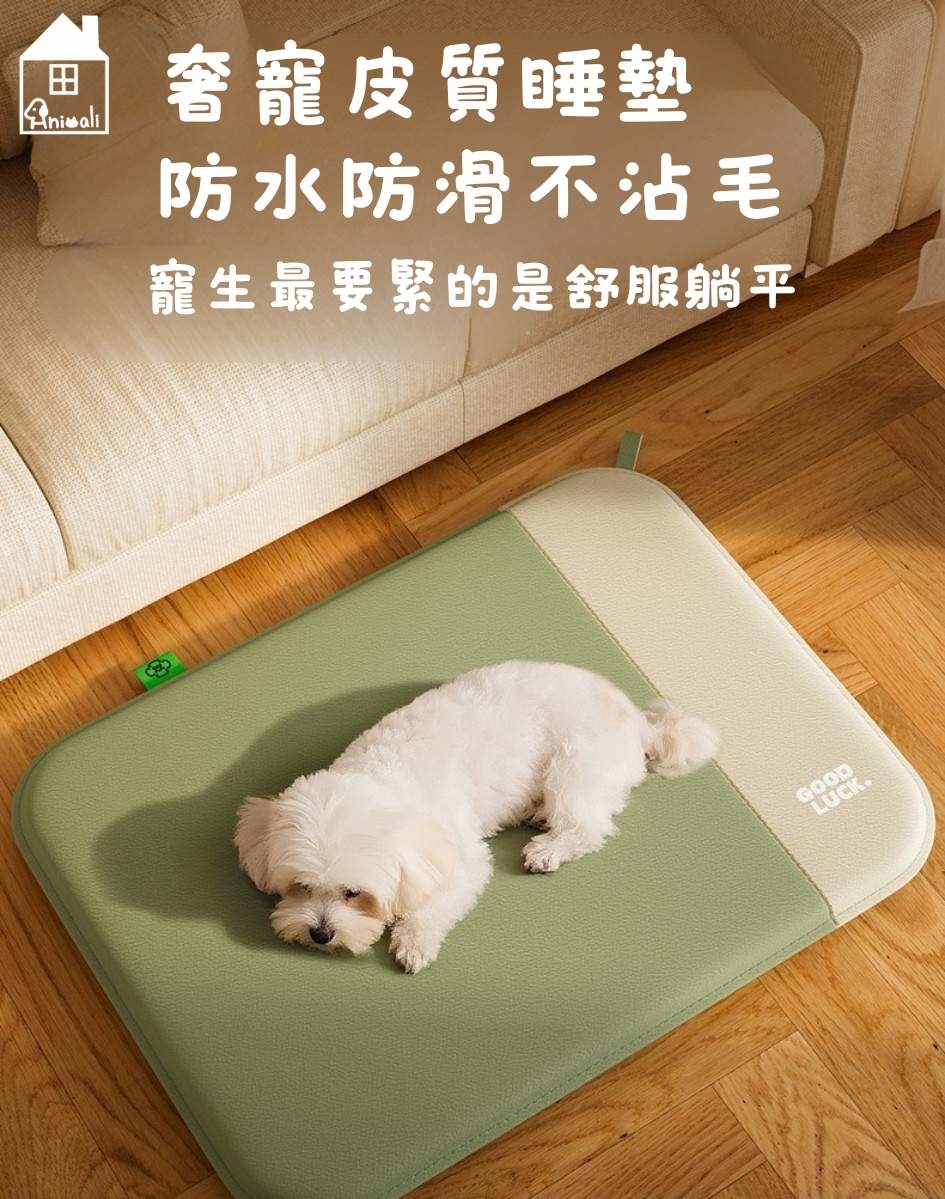 Animali｜四季通用耐抓防水寵物墊-L |睡窩/暖墊|ETMall東森購物網