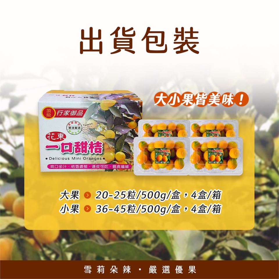 雪莉朵辣嚴選【花東】一口甜桔-大果 2公斤(4盒/箱) x1箱|柑橘/檸檬/金桔|ETMall東森購物網
