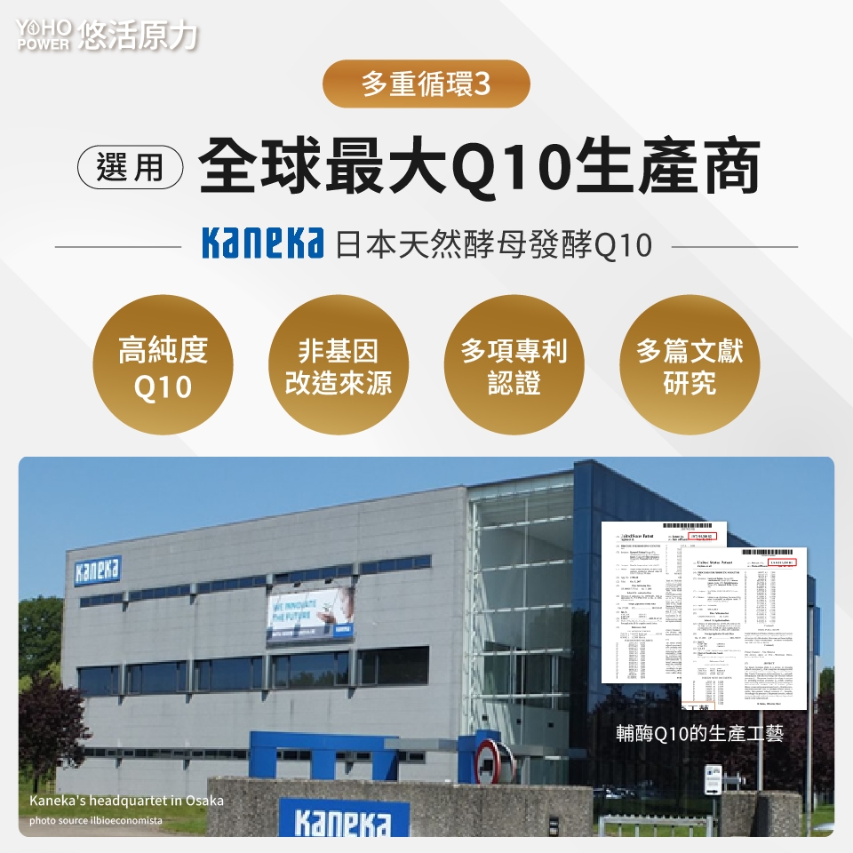 【悠活原力】悠活紅麴納豆Q10膠囊x1盒(60粒/盒 專利納豆激酶5000FU/MonacolinK 15毫克/專利高存度Q10)|納豆/紅麴|ETMall東森購物網