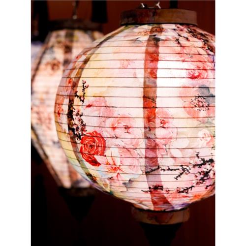 古風新年燈籠掛飾拉絲花燈戶外陽臺大門口裝飾中式宮燈吊燈中國風|燈籠|ETMall東森購物網