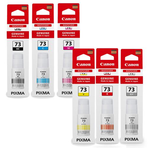 CANON GI-73BK/C/M/Y/R/GY 原廠連供六色墨水 適用G570/G670|Canon 原廠墨水匣|ETMall東森購物網