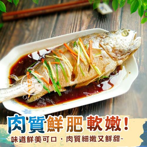 【歐嘉嚴選】當季肥美大黃魚6尾組-650g/尾 (去鰓去鱗去肚)|香魚/柳葉魚|ETMall東森購物網