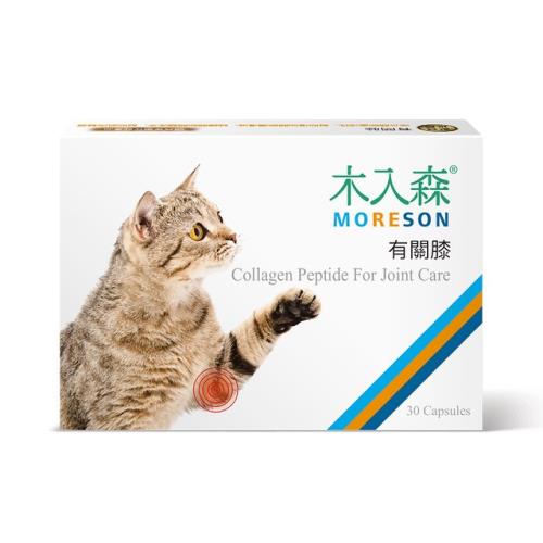 木入森®MORESON-有關膝 30粒/盒 x(3入組)貓寶專用保健食品|骨骼關節保護|ETMall東森購物網