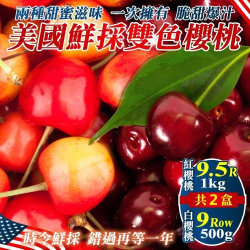 果物樂園-美國雙色櫻桃共2盒(白櫻桃9R 500g+紅櫻桃9.5R 1kg/盒)|櫻桃|ETMall東森購物網