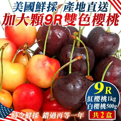 果物樂園-美國加大顆雙色櫻桃共2盒(白櫻桃9R 500g+紅櫻桃9R 1kg/盒)|櫻桃|ETMall東森購物網