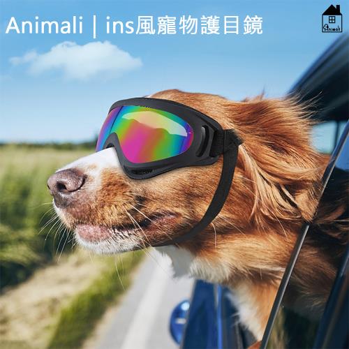 Animali｜ins風寵物護目鏡|其他配備輔具|ETMall東森購物網