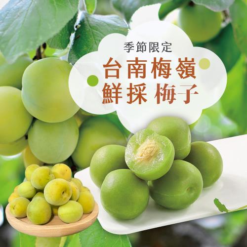 【初品果】台南梅嶺新鮮手採青梅10斤x1箱|水蜜桃/楊桃|ETMall東森購物網
