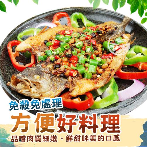 【歐嘉嚴選】海水三去金目鱸魚3尾組 200~300G/尾|石斑魚/鱸魚/青魽魚|ETMall東森購物網