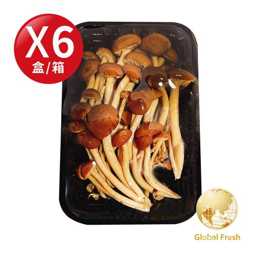 盛花園蔬果 台中石岡柳松菇100g x6盒(溫控栽培_無汙染)|蔬菜箱/其他|ETMall東森購物網