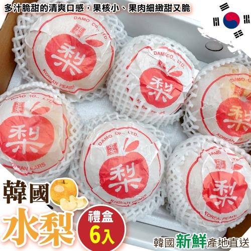 果物樂園-嚴選大顆韓國水梨禮盒(6入_每顆約650g/盒)|梨子/酪梨|ETMall東森購物網